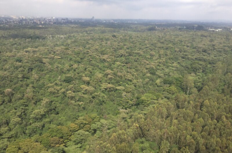 Visit Nairobi - Experience the Energy