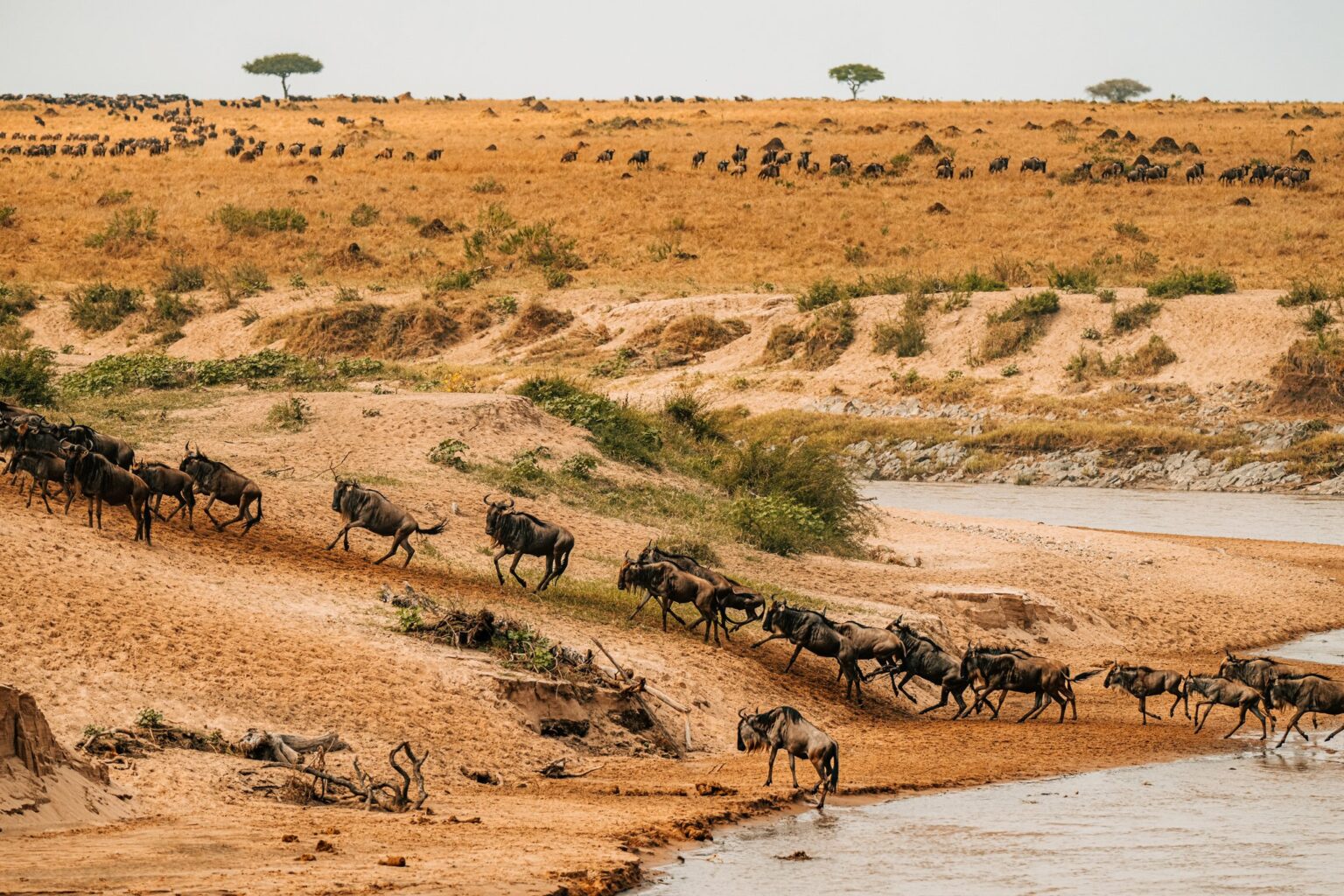 8 Unforgettable Kenyan Circuits: Wildlife, Culture and Natural Wonders ...