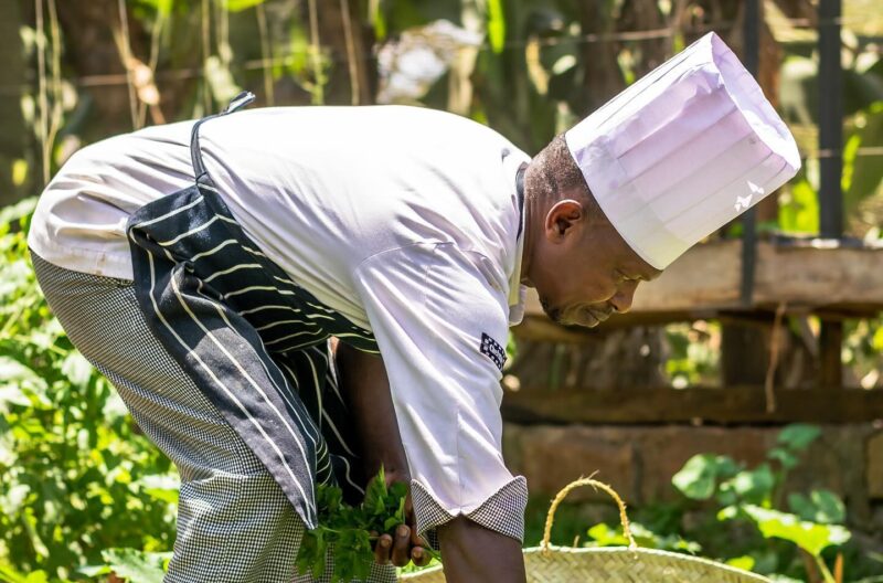 Explore - Visit Nairobi