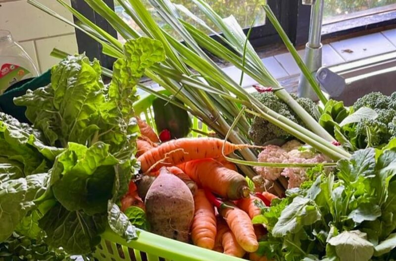 NAIROBI ARBORETUM - Visit Nairobi Kenya